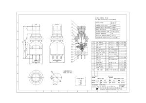 PBS-24-302 Fender Latching Foot 3PDT Switch - DAIER