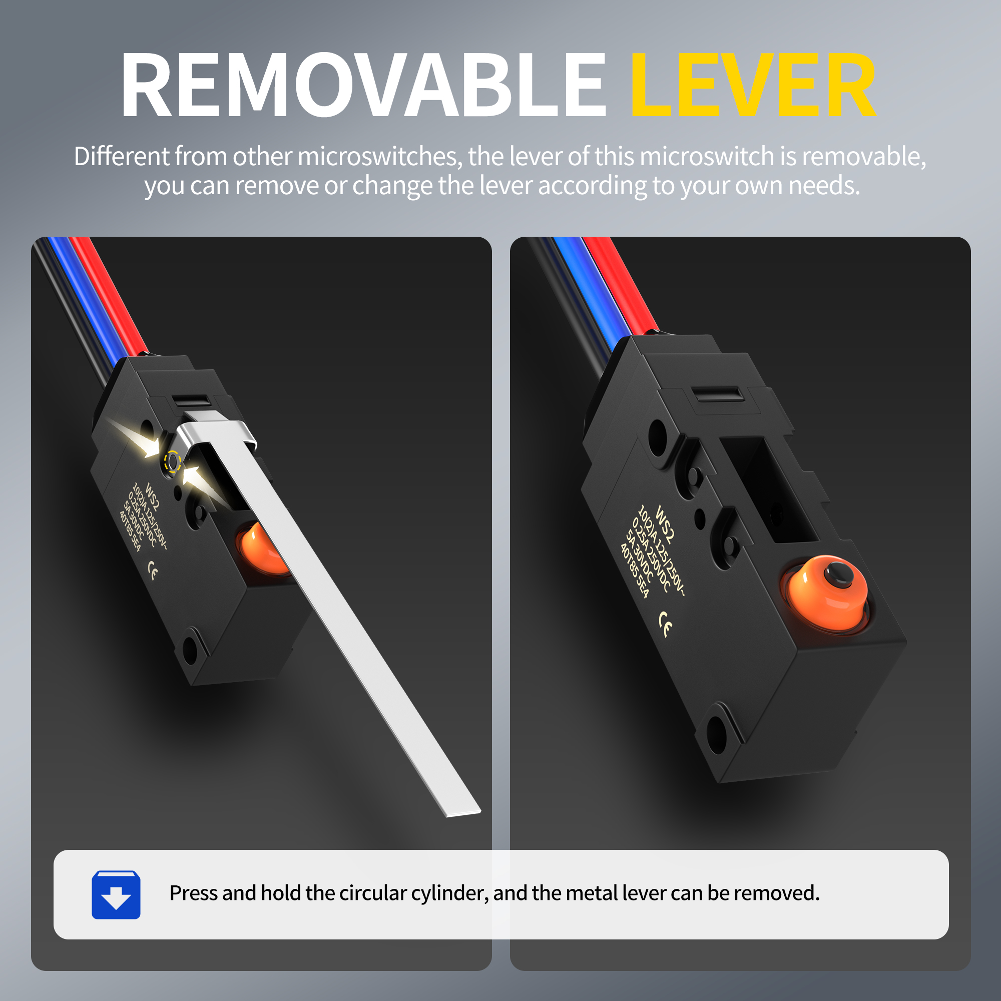 10A 125/250V IP67 3 Pin SPDT Micro Limit Switch With Long Lever And Pre-Wired